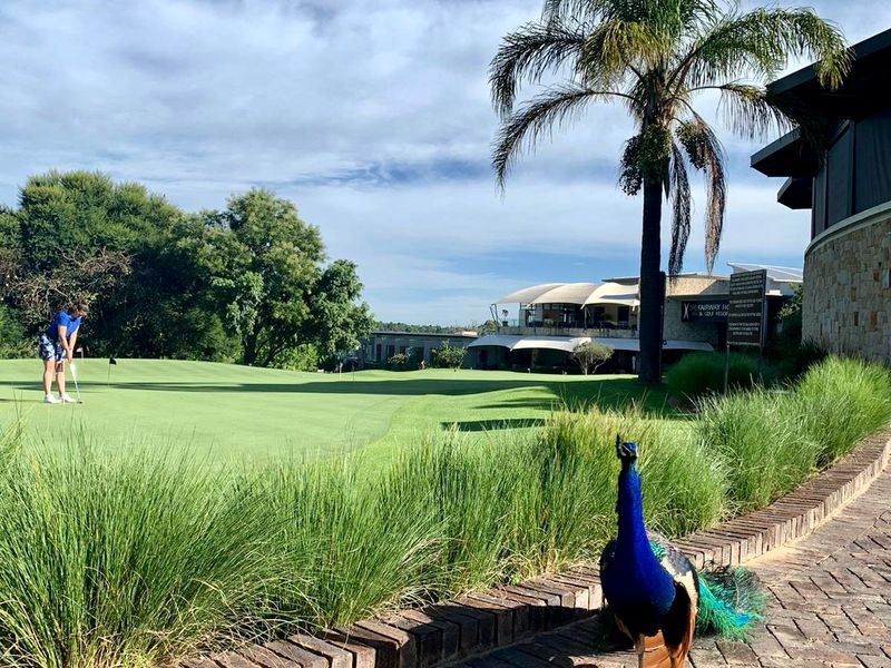 Randpark Golf Course - Photo overview - Leadingcourses